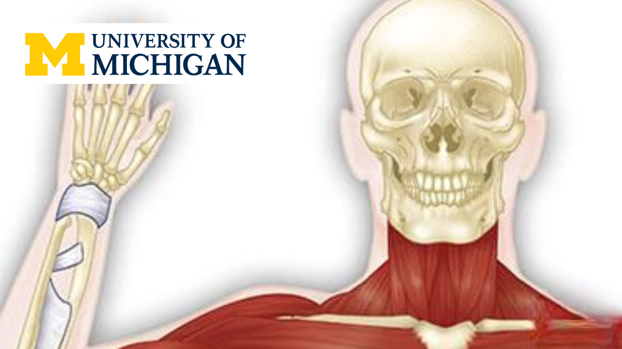 Course: Anatomy: Musculoskeletal and Integumentary Systems | RiseUpp