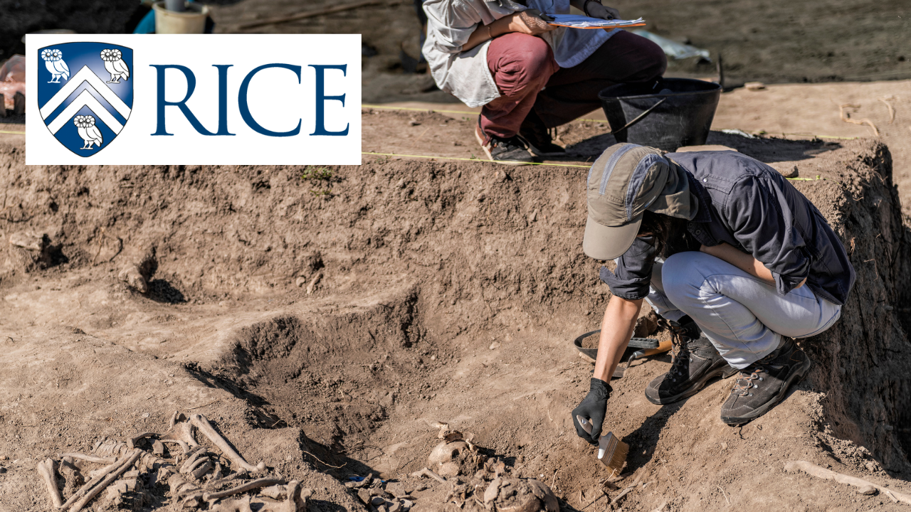 Course: Introduction to Archaeology: Archaeology as Science | RiseUpp