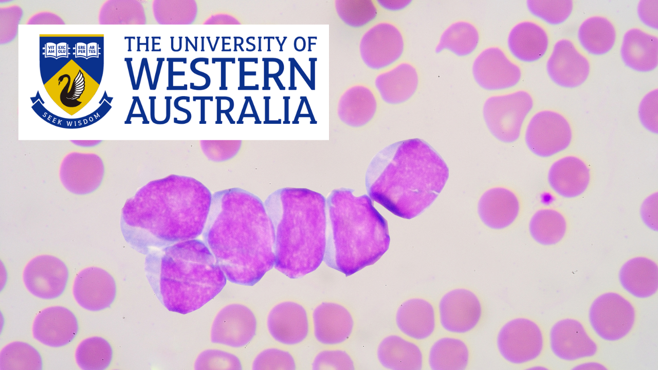 Course: Blood Film Morphology - A Practical Guide | RiseUpp