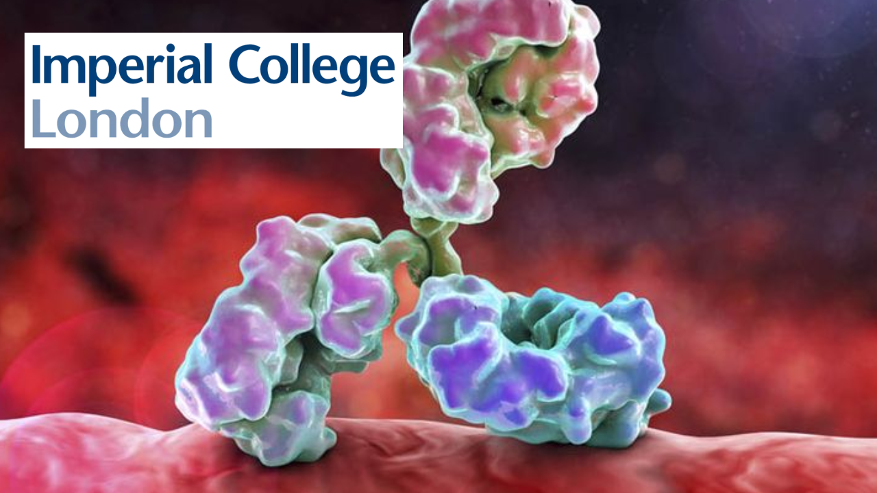 Course: Immunology: Immune System and Infectious Diseases | RiseUpp