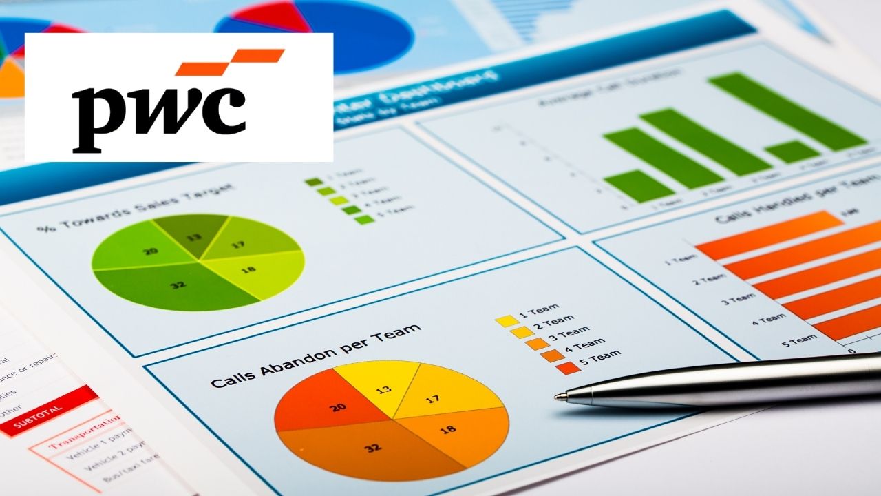 Course: Data Analysis and Presentation Skills: the PwC Approach | RiseUpp