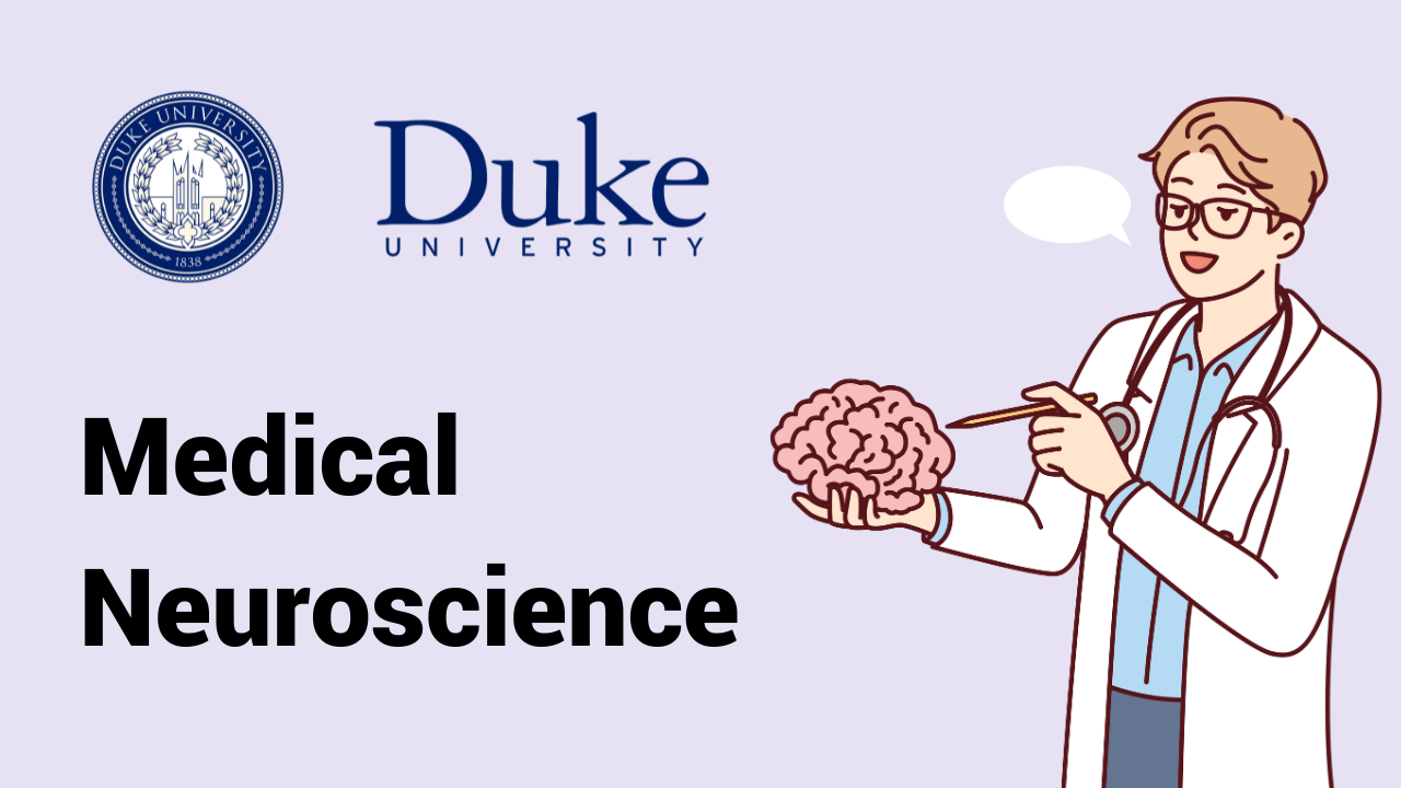 Course: Medical Neuroscience | RiseUpp
