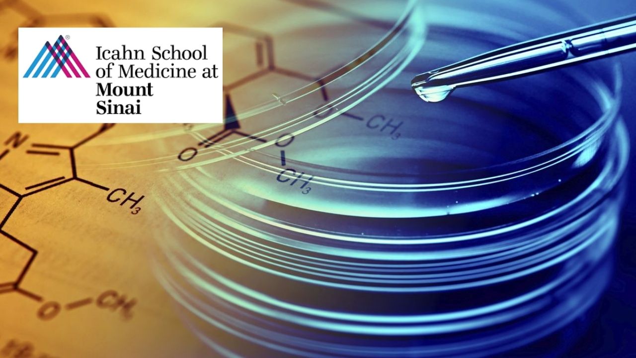 Course: Systems Biology and Biotechnology | RiseUpp