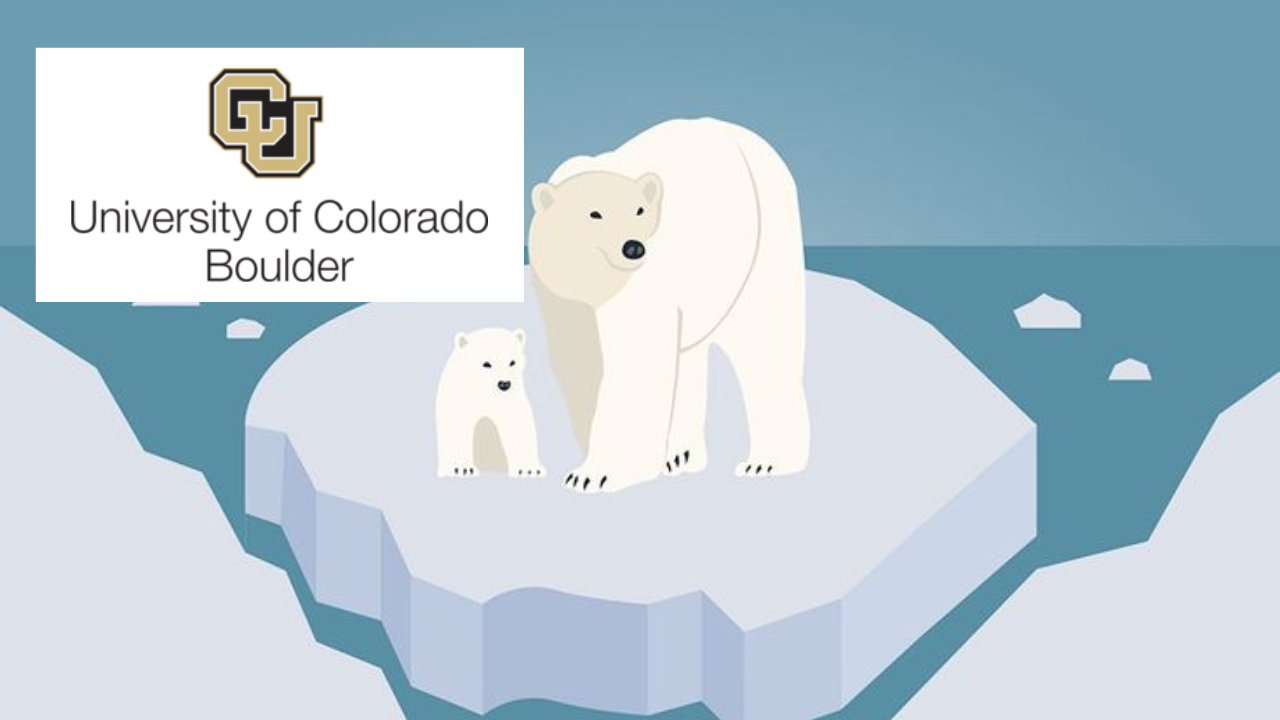 Course: Polar Peril | RiseUpp