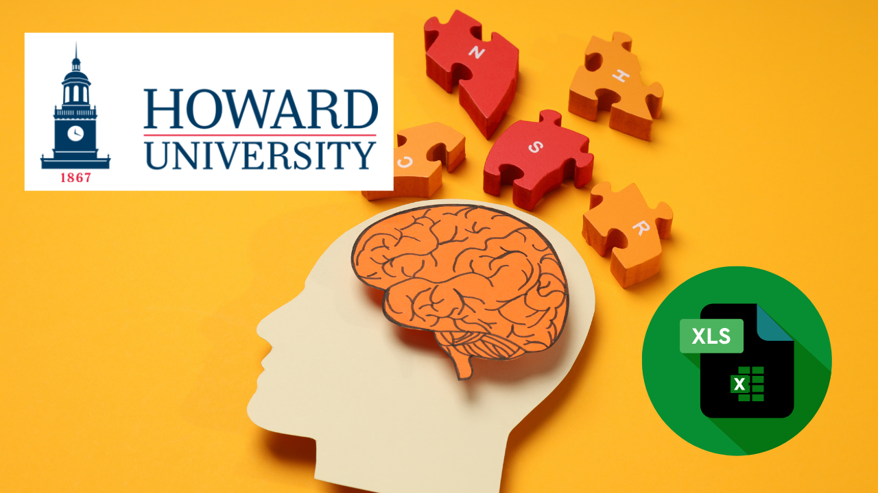 Course: Solving Business Problems with Spreadsheet Modeling | RiseUpp