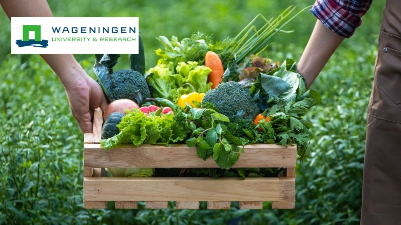 Course: Crop Production and Soil Management | RiseUpp