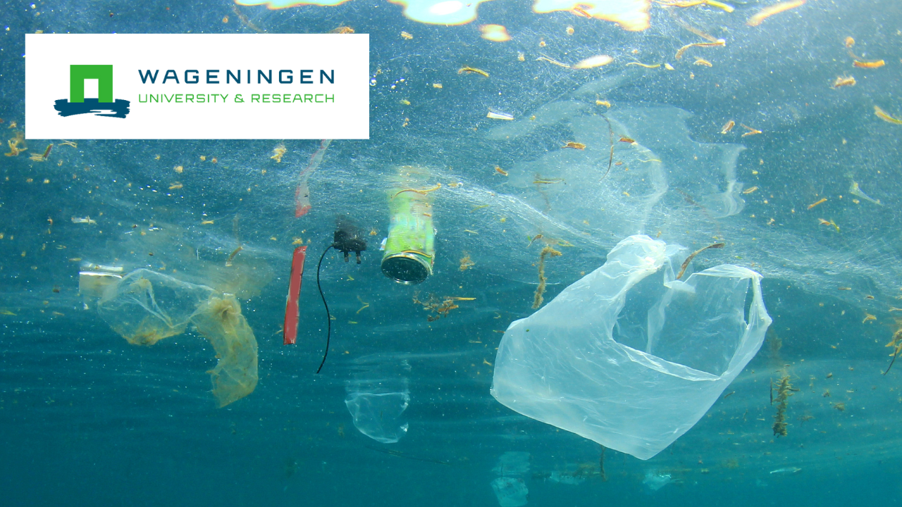 Course: Environmental Impact of Plastic Pollution | RiseUpp
