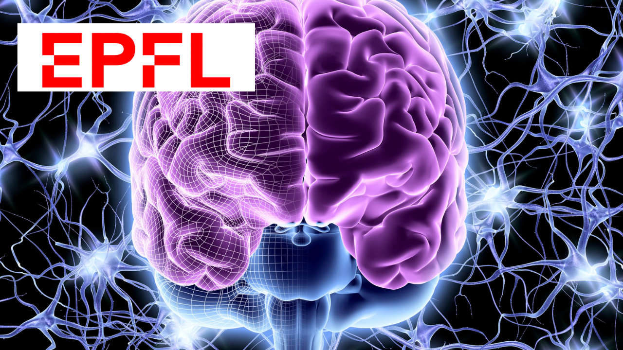 Course: The Multi-scale Brain: Advanced Neuroscience Exploration | RiseUpp