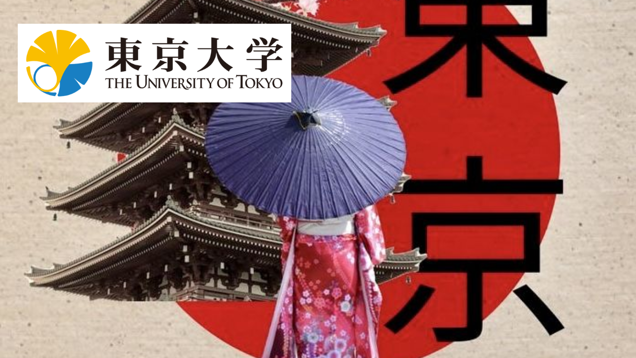 Course: Visualizing Postwar Tokyo: History and Transformation | RiseUpp